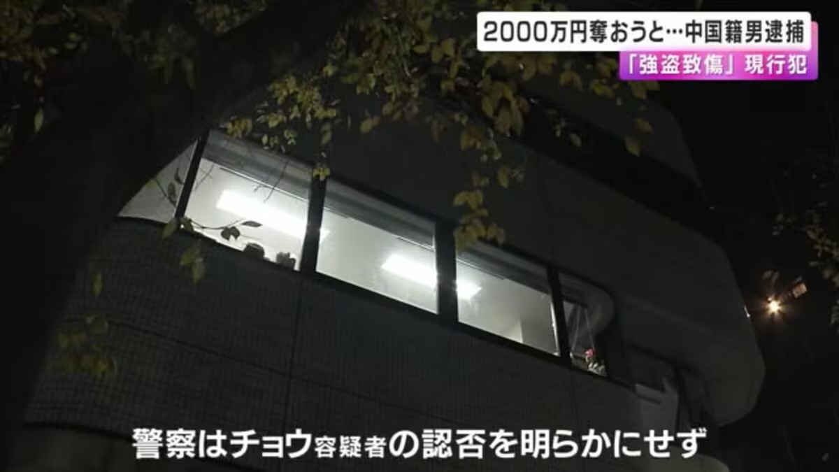 Chinese man nabbed over attempted robbery of executive in Osaka ...