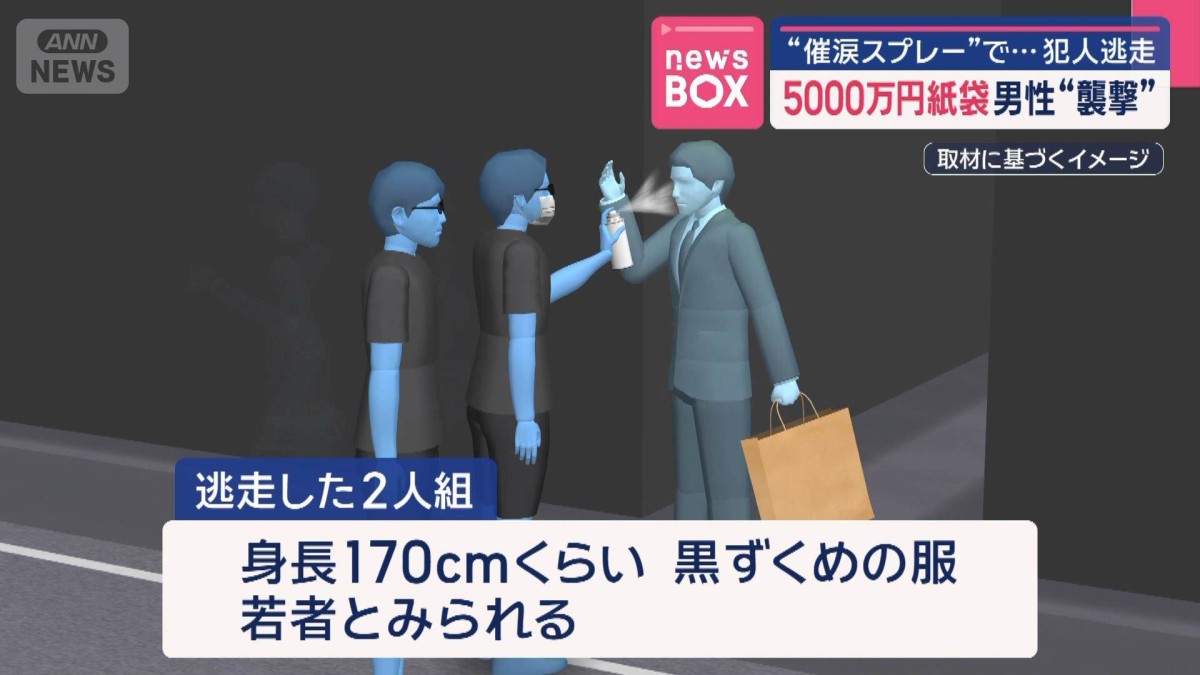 Thieves try to steal cash from company president in pepper spray attack ...