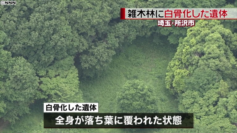 Saitama: Human skeleton found in ‘Totoro no Mori’ - TokyoReporter